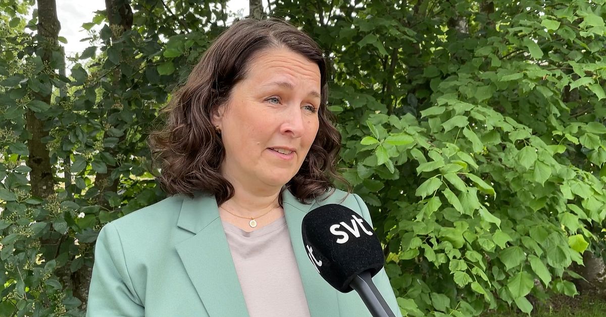 Miljöpartiet största partiet i Lund i EU-valet | SVT Nyheter