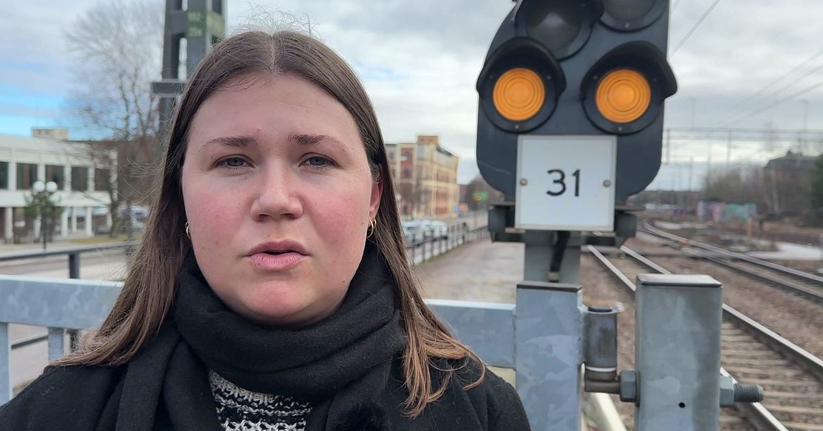 Reportern förklarar: Därför är ditt tåg försenat efter signalfel | SVT ...