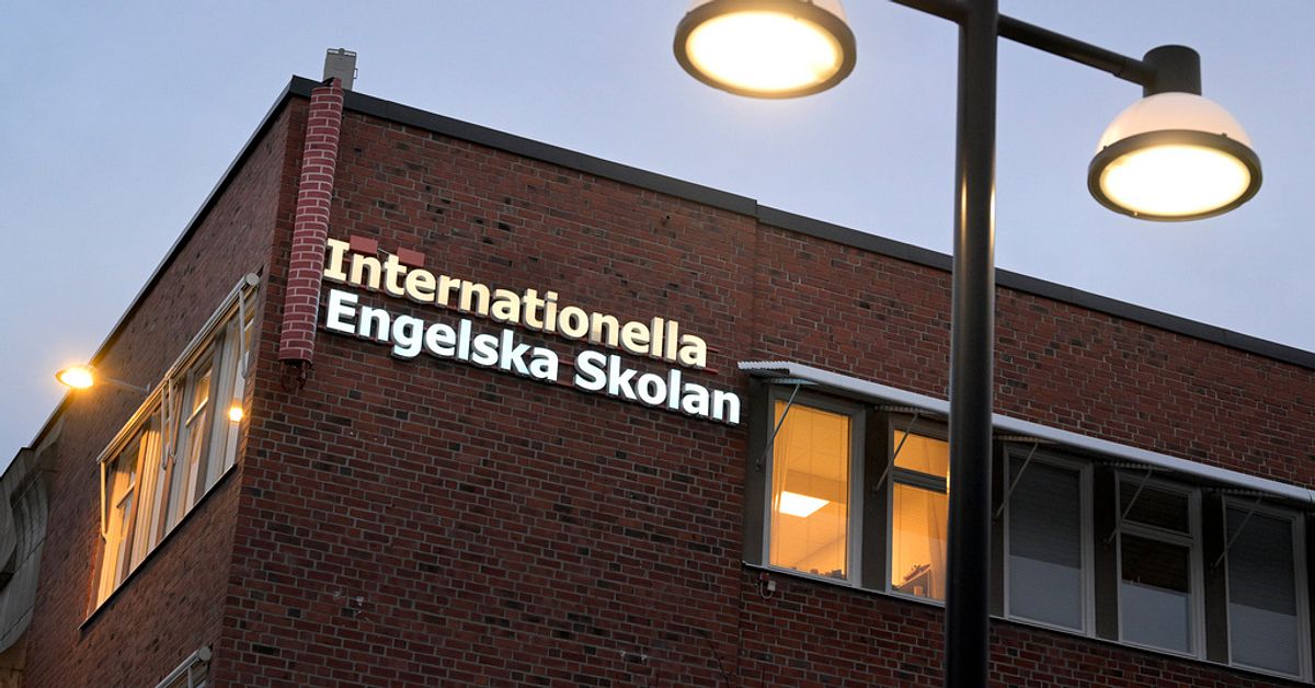 Efter SVT:s avslöjande – Engelska Skolan byter vd | SVT Nyheter