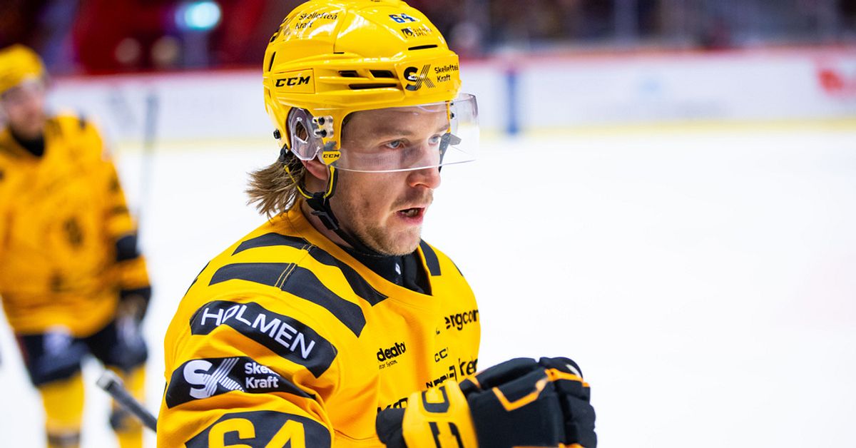 Ishockey: Glädjebesked för Skellefteå – Jonathan Pudas nära comeback ...