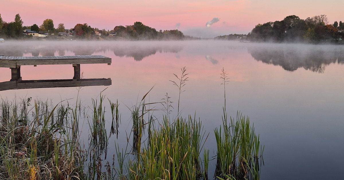 Tittarbilder september 2024 – skicka din bild till SVT Väder | SVT Nyheter