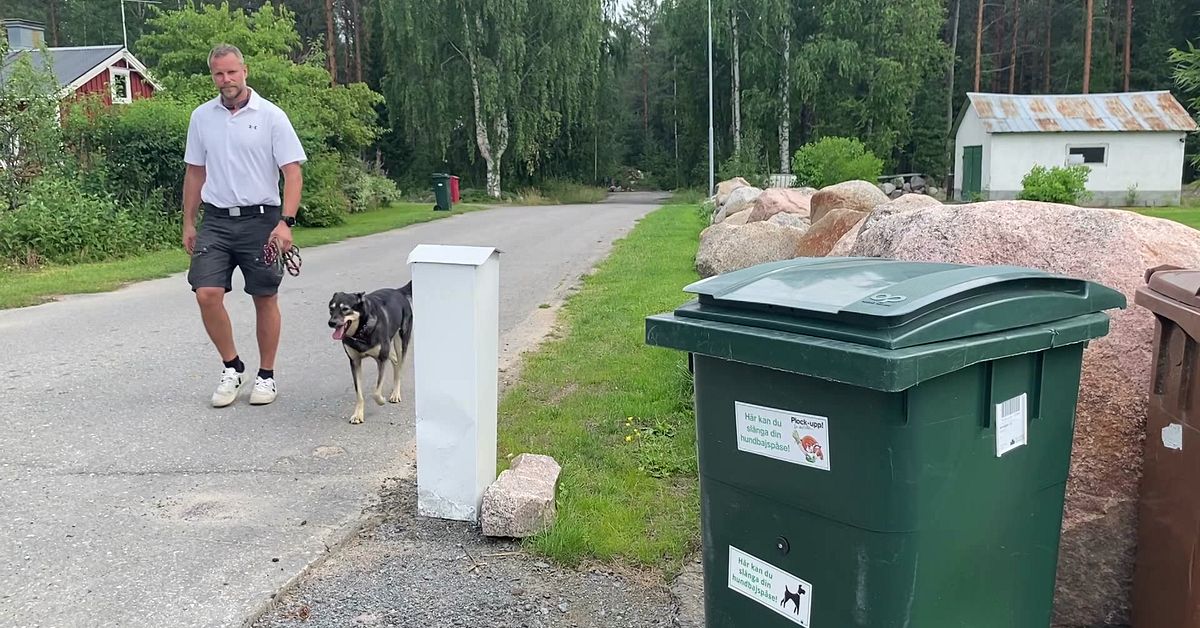 Markus ledsnade på bajset – hans idé kan lösa skiten | SVT Nyheter