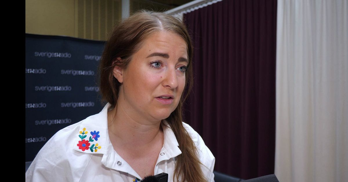 Emma Wiesner från Centerpartiet om sin syn på EU:s mineralpolitik | SVT ...