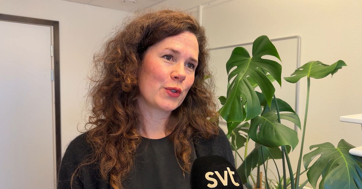 Region Värmland satsar 120 miljoner på tre vårdprioriteringar – ungas psykiska hälsa i fokus ...