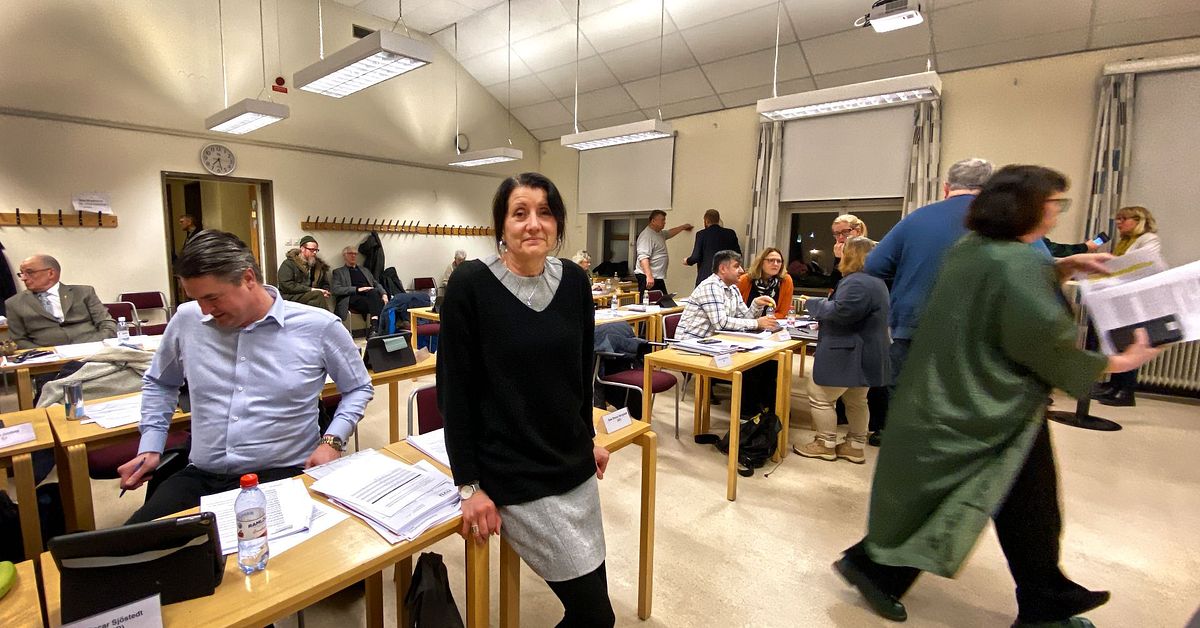 Sverigedemokraten Ewa Olsson Bergstedt i Skinnskatteberg avsatt | SVT Nyheter