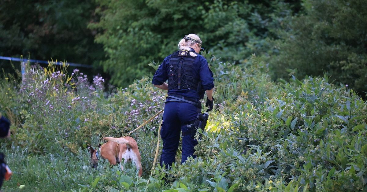 Stor Polisinsats I Östra Bäcklösa 20 åringar Misstänkta För Grovt