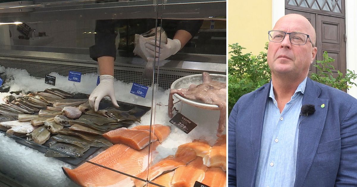 Ny odling i Luleå kan fördubbla Sveriges produktion av fisk | SVT Nyheter