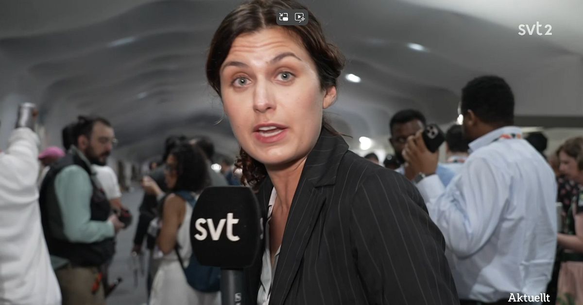 Hur synka alla röda linjer? – Senaste nytt om FN:s klimattoppmöte COP30 ...