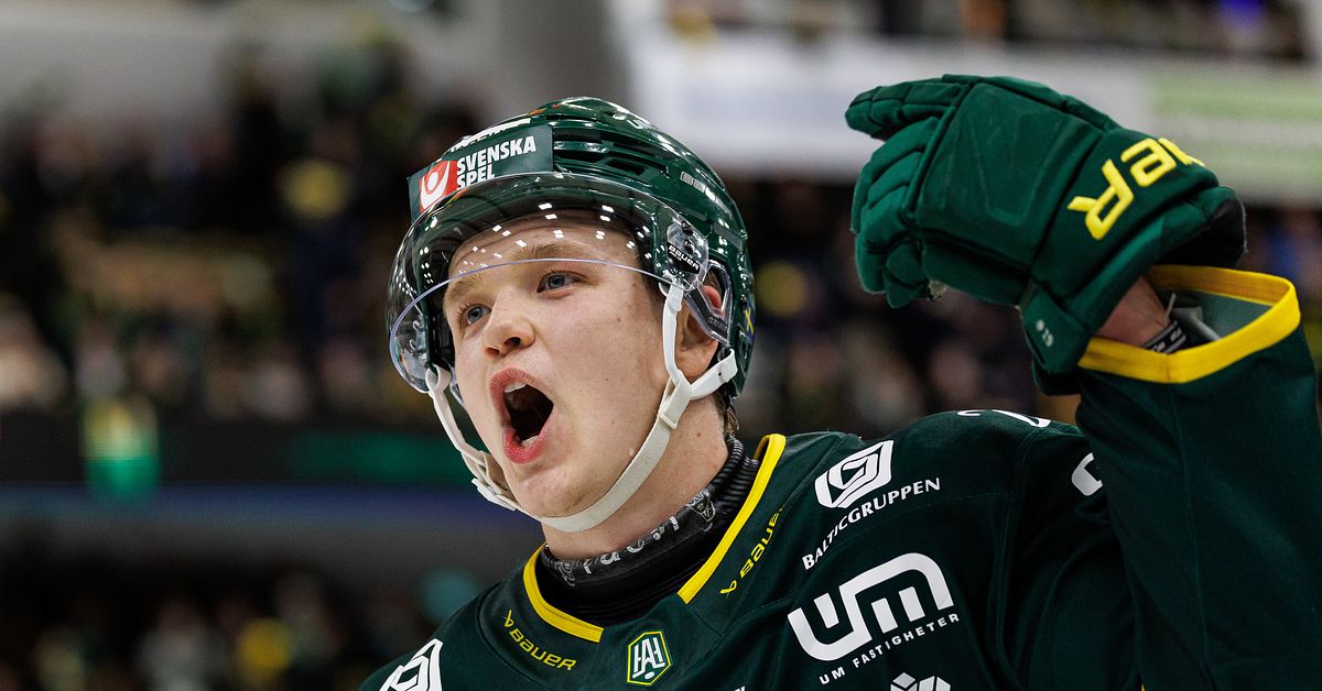 Ishockey: Björklöven vann toppmatchen – bröt Modos segersvit | SVT Sport