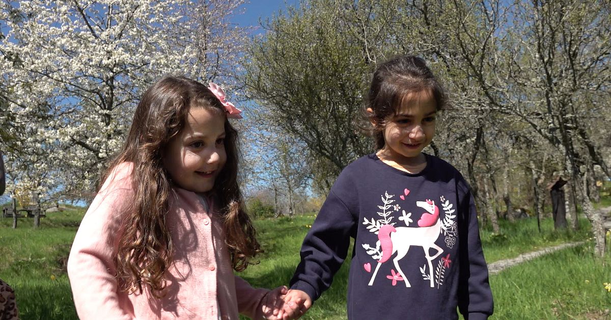 Isabelle och Lily välkomnade våren bland körsbärsblommorna | SVT Nyheter