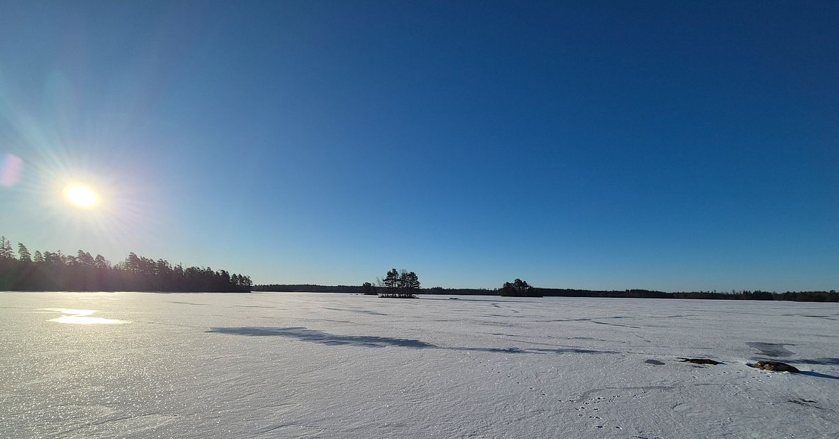 Tittarbilder februari 2025 – skicka din bild till SVT Väder | SVT Nyheter
