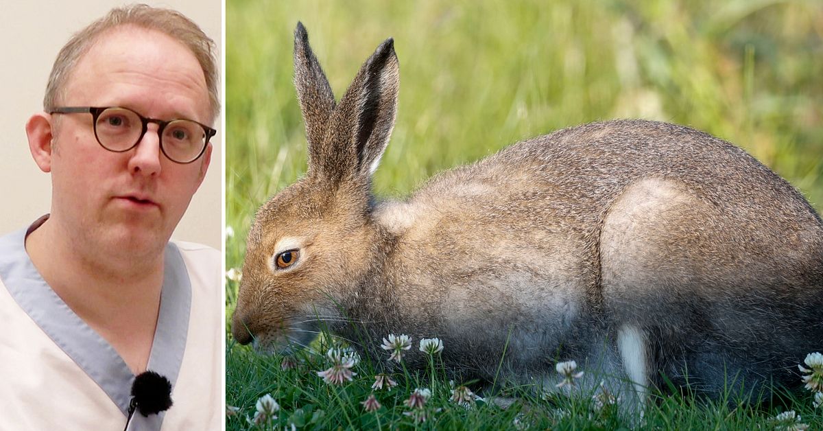 Den ovanliga sjukdomen harpest ska bli lättare att behandla – hör ...