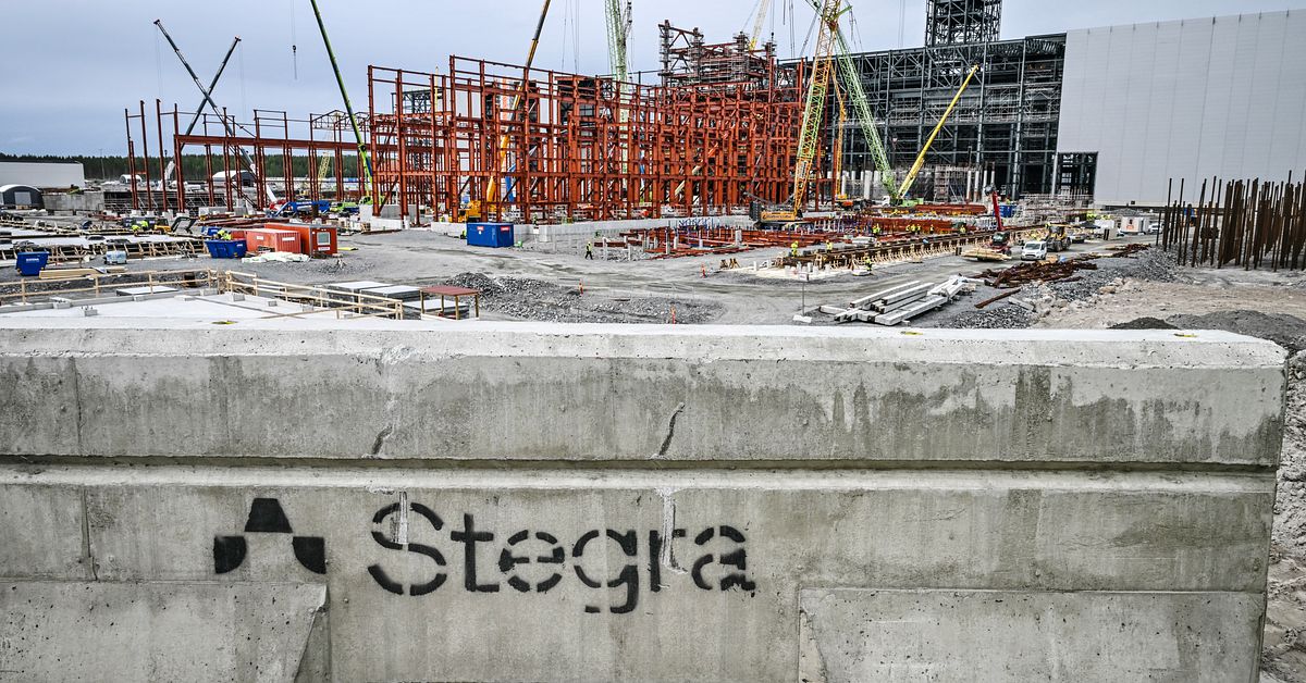 Stegra | SVT Nyheter