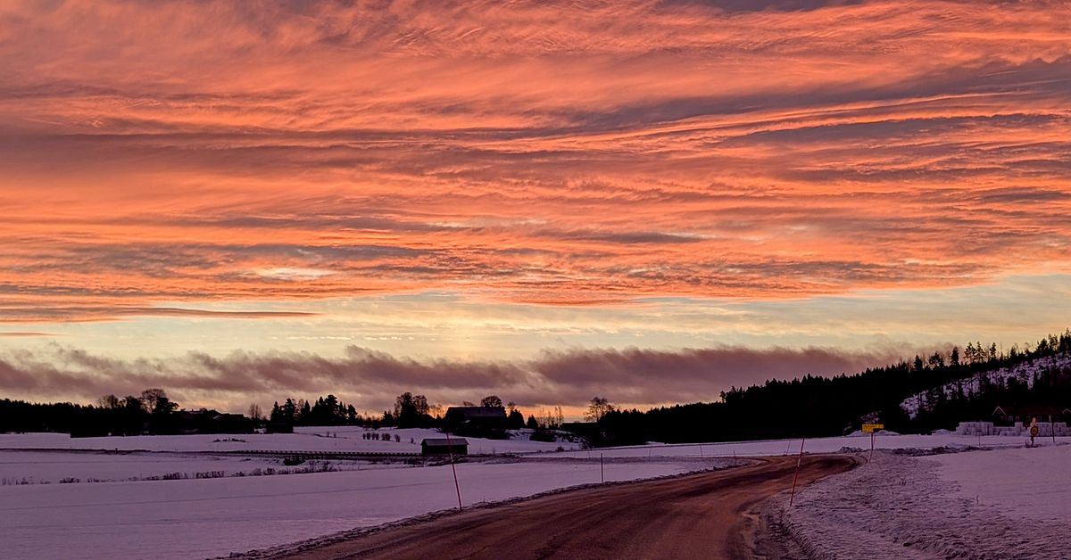 Tittarbilder februari 2025 – skicka din bild till SVT Väder | SVT Nyheter