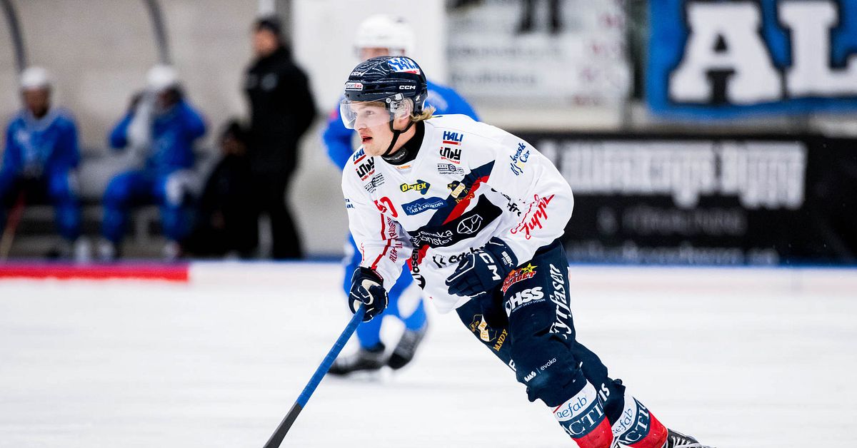 Bandy: Edsbyn klart för semifinal efter kross – Ted Hedell ...
