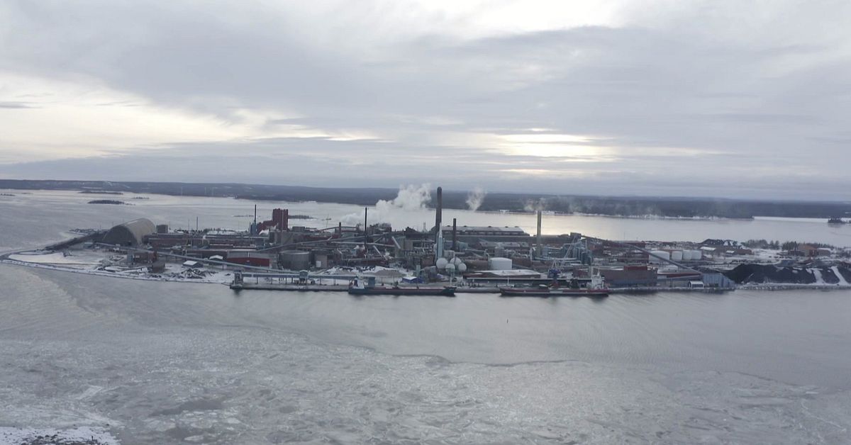 Boliden Mineral bötfälls – giftiga metaller läckte ut i havet | SVT Nyheter