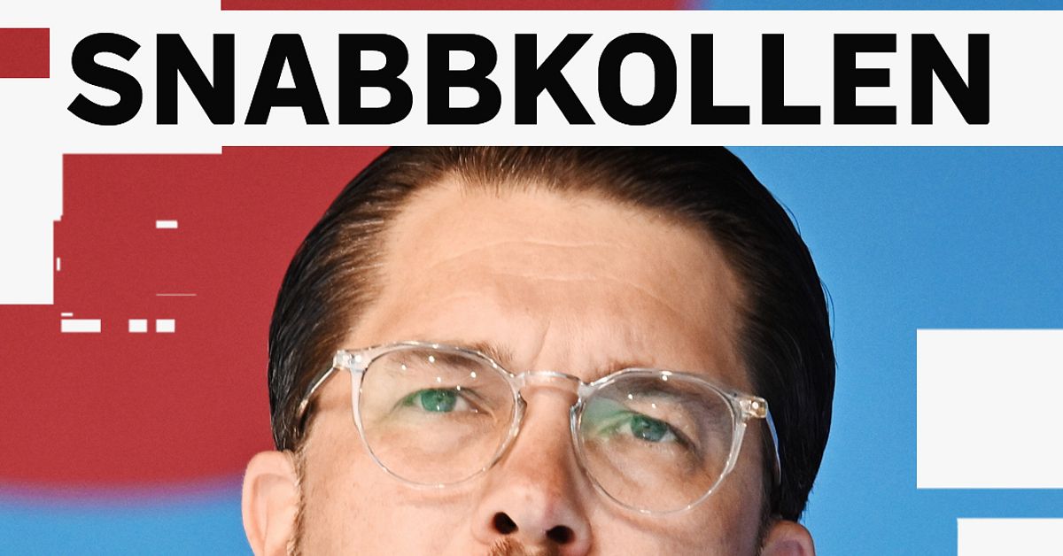 Jimmie Åkesson ångrar inte SD:s kvittningskupp | SVT Nyheter