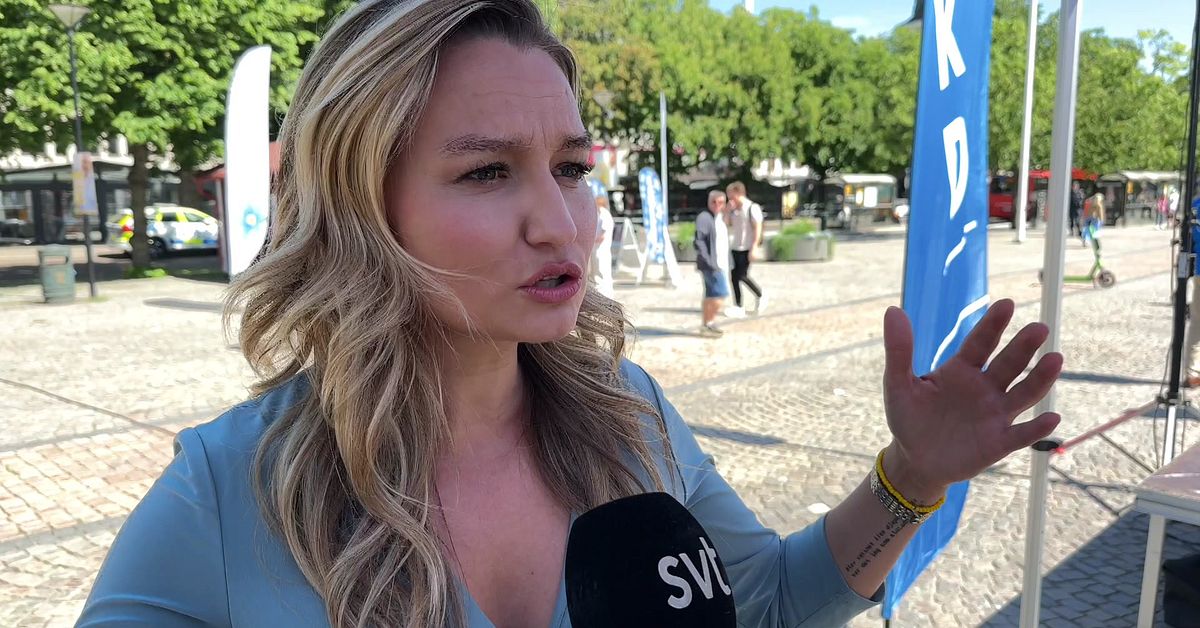 Ebba Busch(KD) om Värmland: ”Tallar och granar är klimathjältar” | SVT Nyheter
