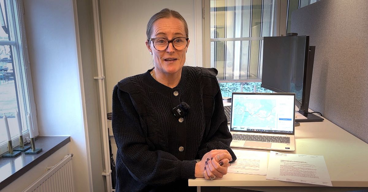 Ludvika kommun vill ta över dammarna i Fredriksberg | SVT Nyheter