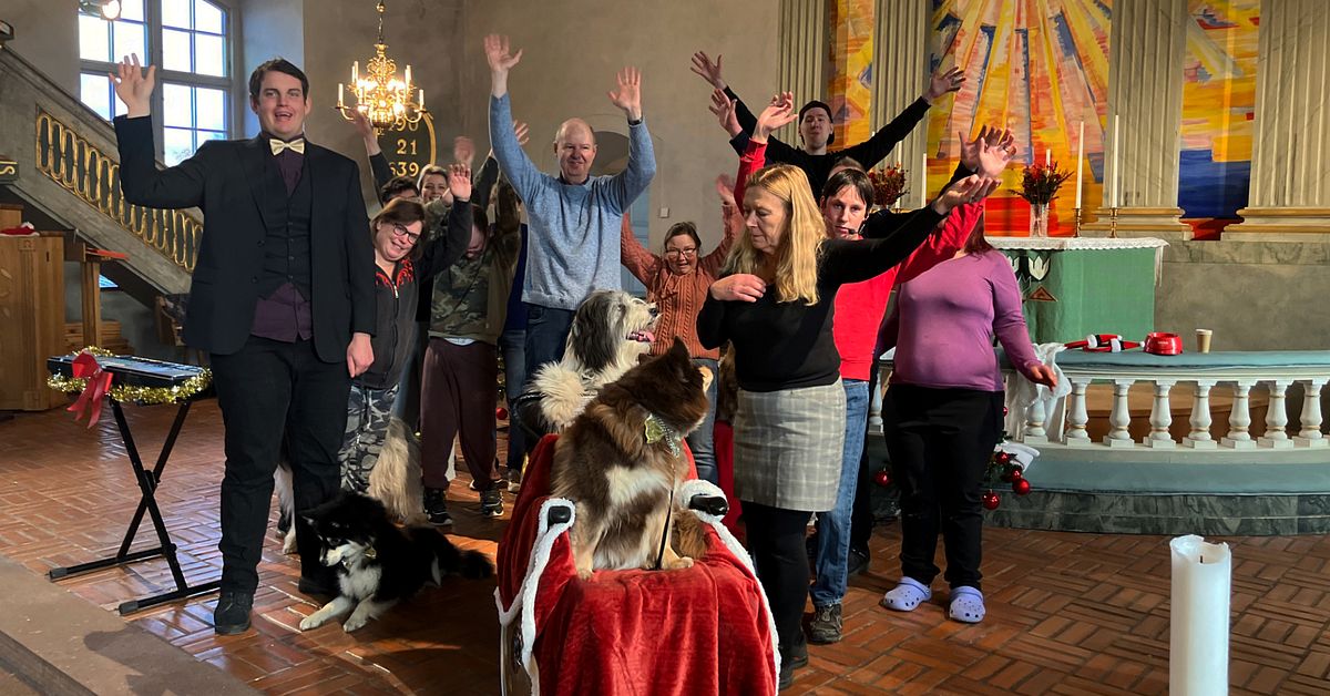 Här laddar Moragänget för julshow | SVT Nyheter