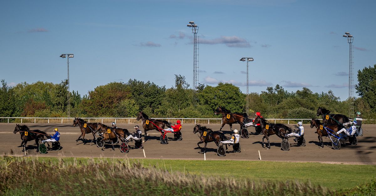 Trav: Uppgifter: V75 läggs ner – men ATG dementerar | SVT Sport