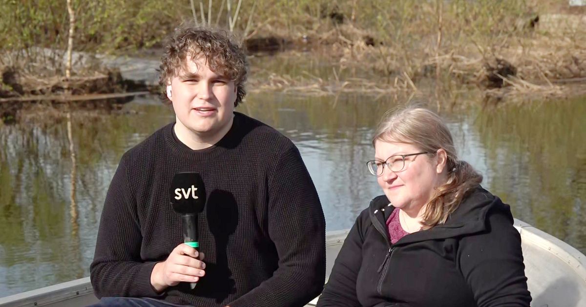 Se SVT:s reporter mitt i vårfloden i Överkalix | SVT Nyheter