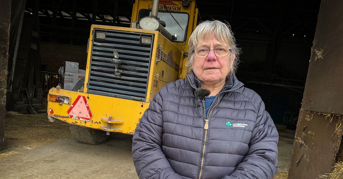 Åratal av bekymmer med Open infras fibergrävning enligt LRF | SVT Nyheter