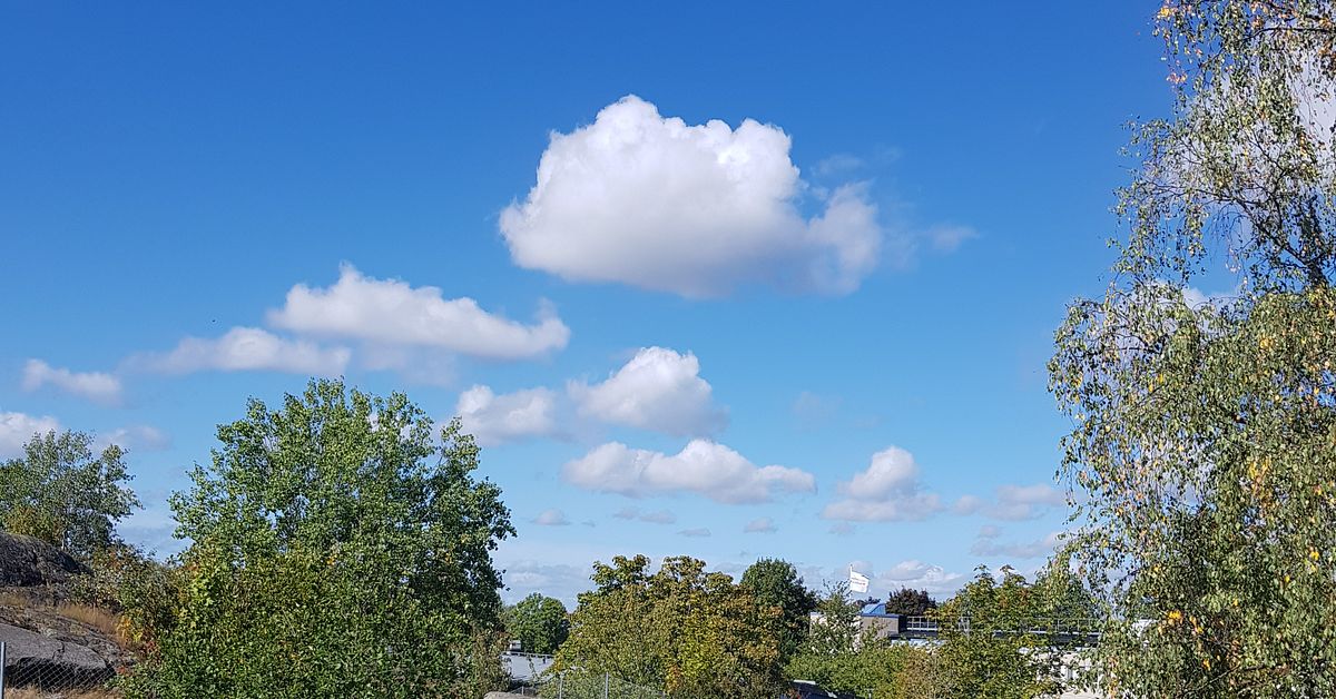 Tittarbilder augusti 2024 – skicka din bild till SVT Väder | SVT Nyheter