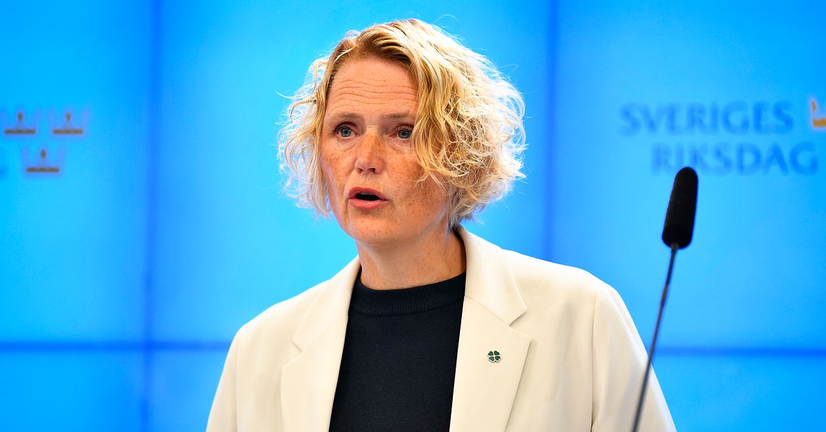 Hatt vill inte samarbeta med Tidöpartierna | SVT Nyheter