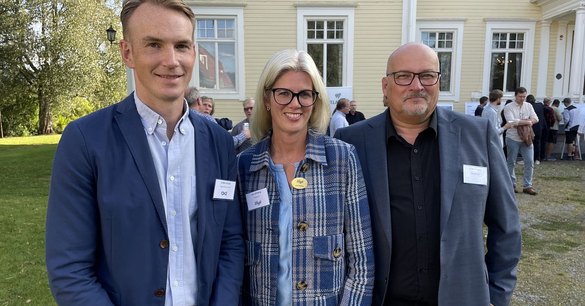 Ny stor industrisatsning i Ånge – ”Grönt nav” ska skapas i Torpshammar ...