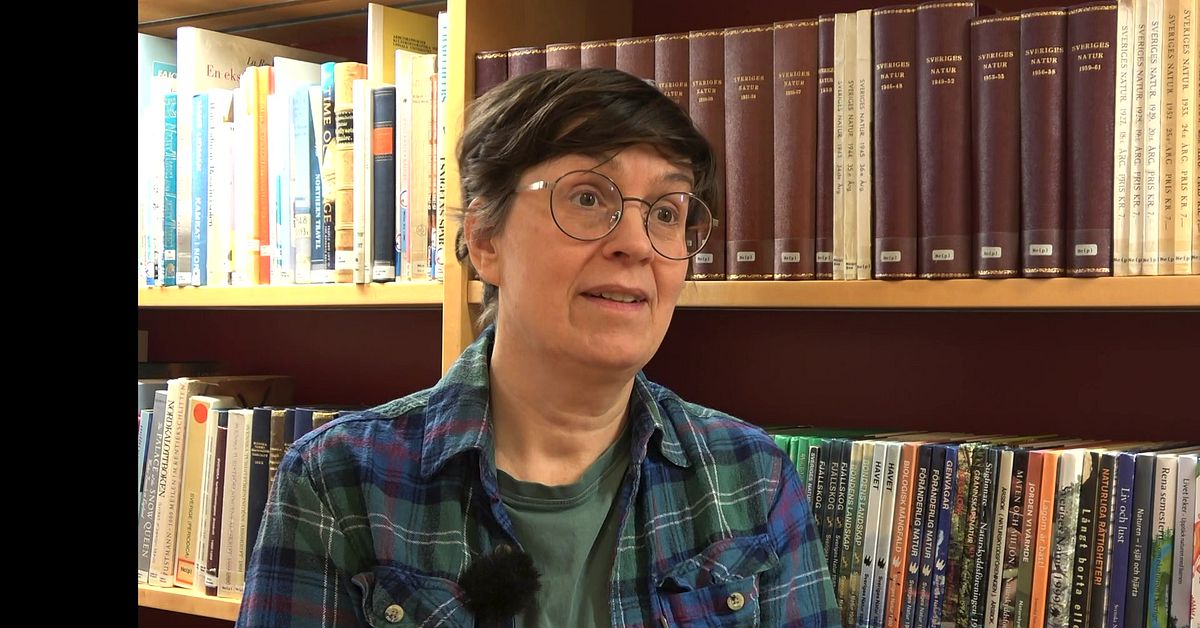 Samiska hbtqi-ord broderades i Jokkmokk | SVT Nyheter