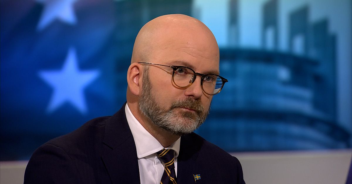 Charlie Weimers om ryssvänliga partier: Måste hitta samarbetsformer ...