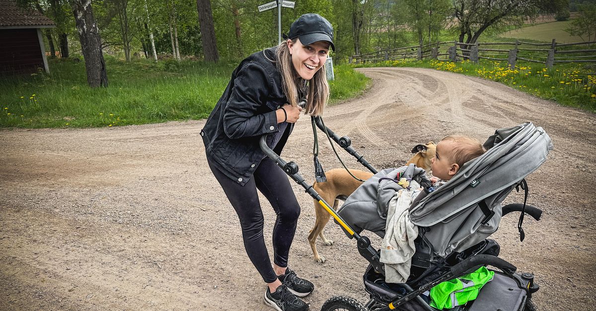 Bybon Lisa om infekterade vägfrågan: ”Jag borde veta mer än vad jag gör ...
