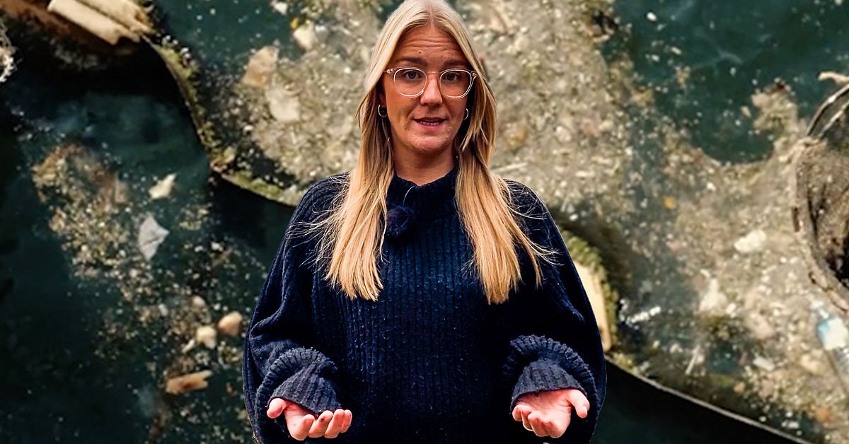 SVT:s reporter förklarar: Det här är Sveriges miljömål | SVT Nyheter