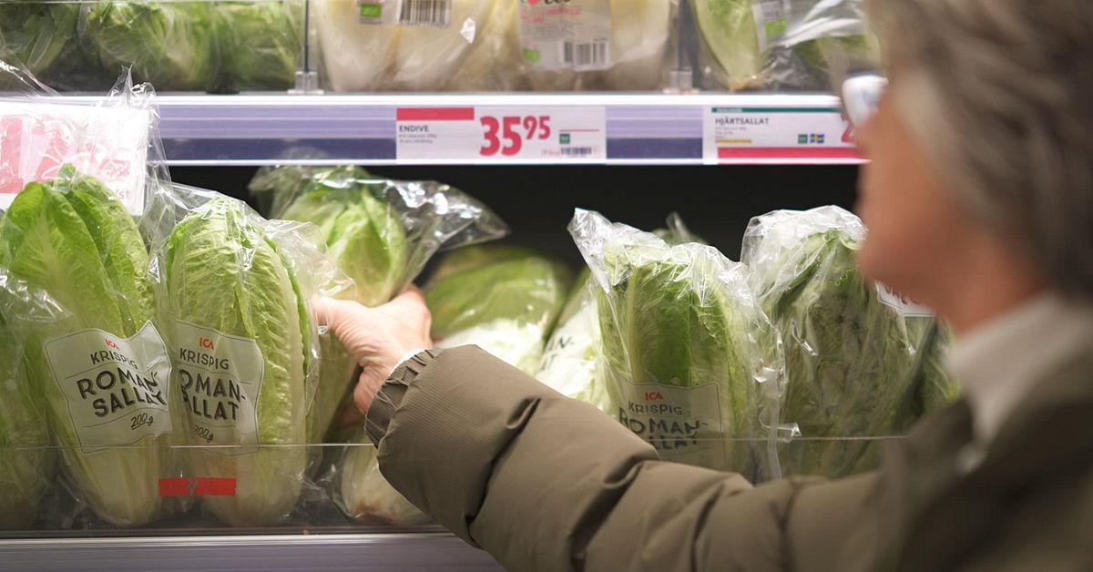 Så mycket dyrare är maten nu – jämfört med 2021 | SVT Nyheter