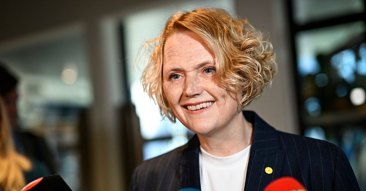 Anna-Karin Hatt | SVT Nyheter