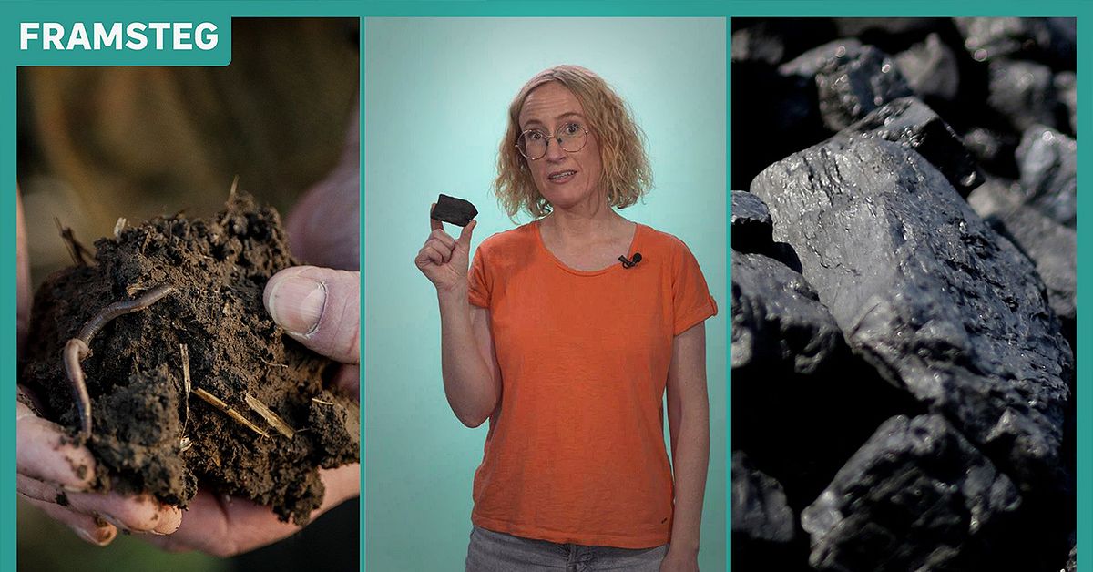 Så kan biokol rena mark – och göra nytta för klimatet | SVT Nyheter
