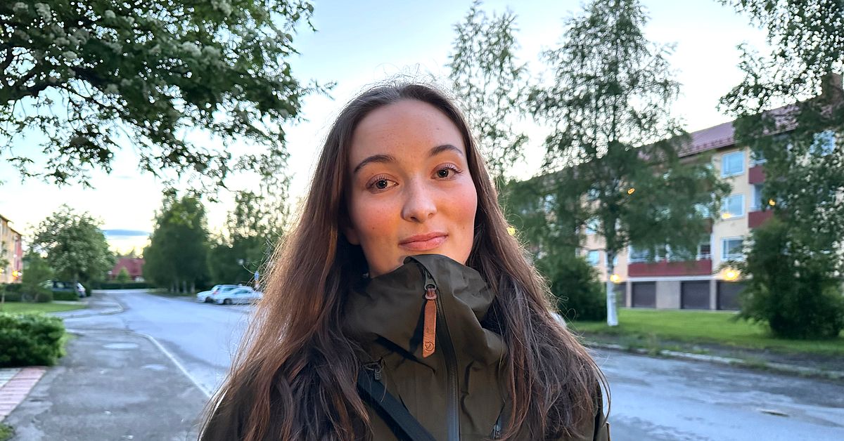 Animerat våld mot samer visades under Roc boyz spelning på ...