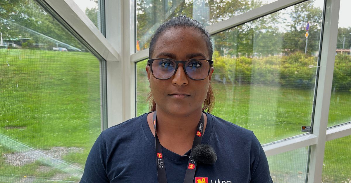 Klotter, stöld och utmaningar i sociala medier: ”Viktigt att vi hjälps ...