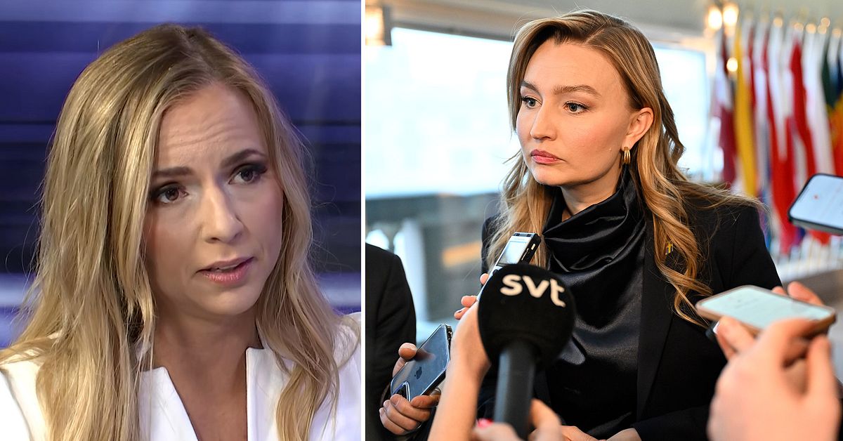 Sara Skyttedal efter petningen – därför sökte hon sig till SD | SVT Nyheter