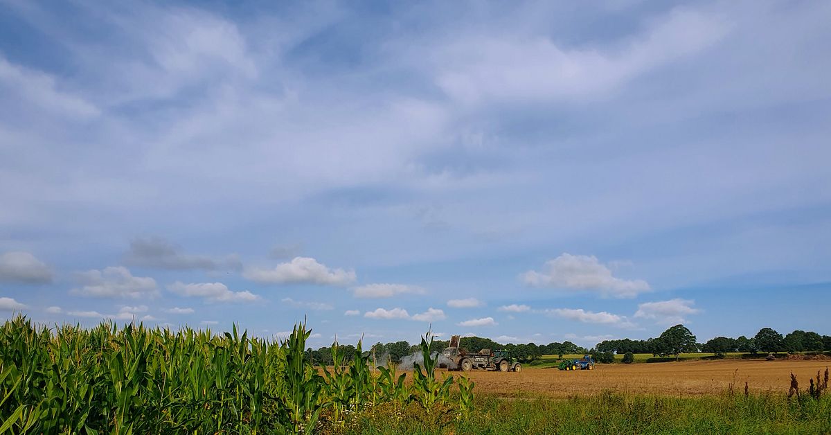 Tittarbilder augusti 2024 – skicka din bild till SVT Väder | SVT Nyheter