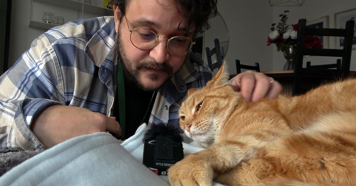 Luffar-Lasse i spinn – tassar mot nytt insamlingsrekord | SVT Nyheter