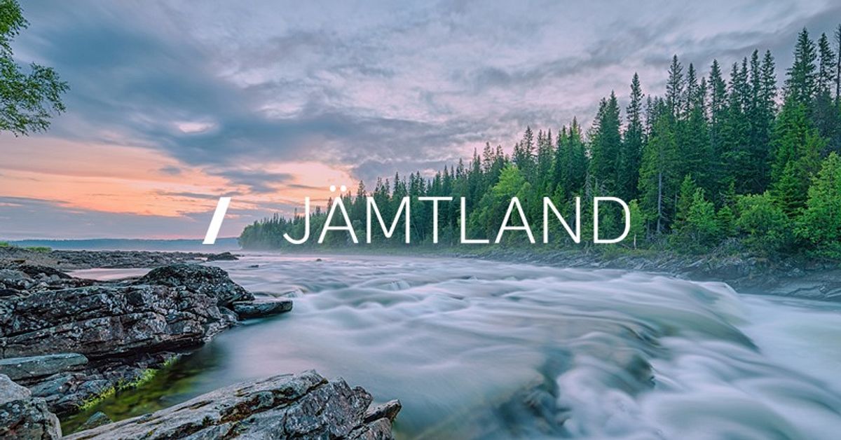 Nyheter från dagen: 11 december | SVT Nyheter