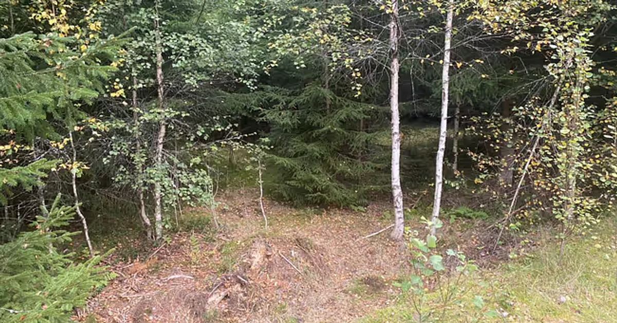 Misstänkt för mord på Asefa avskriven – utredningen tillbaka på ruta ...