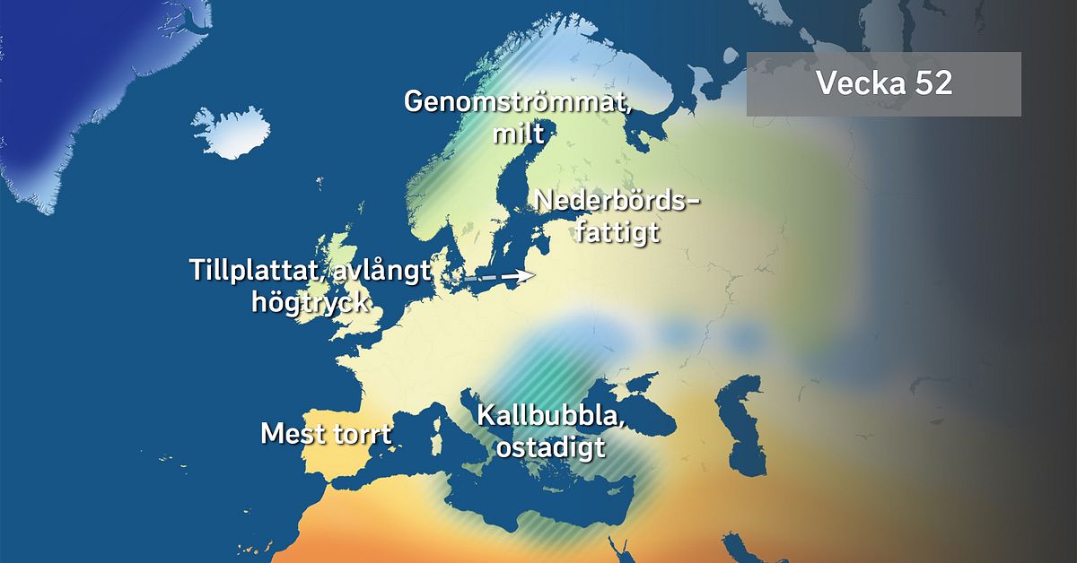Uppdaterad månadsöversikt för december | SVT Nyheter