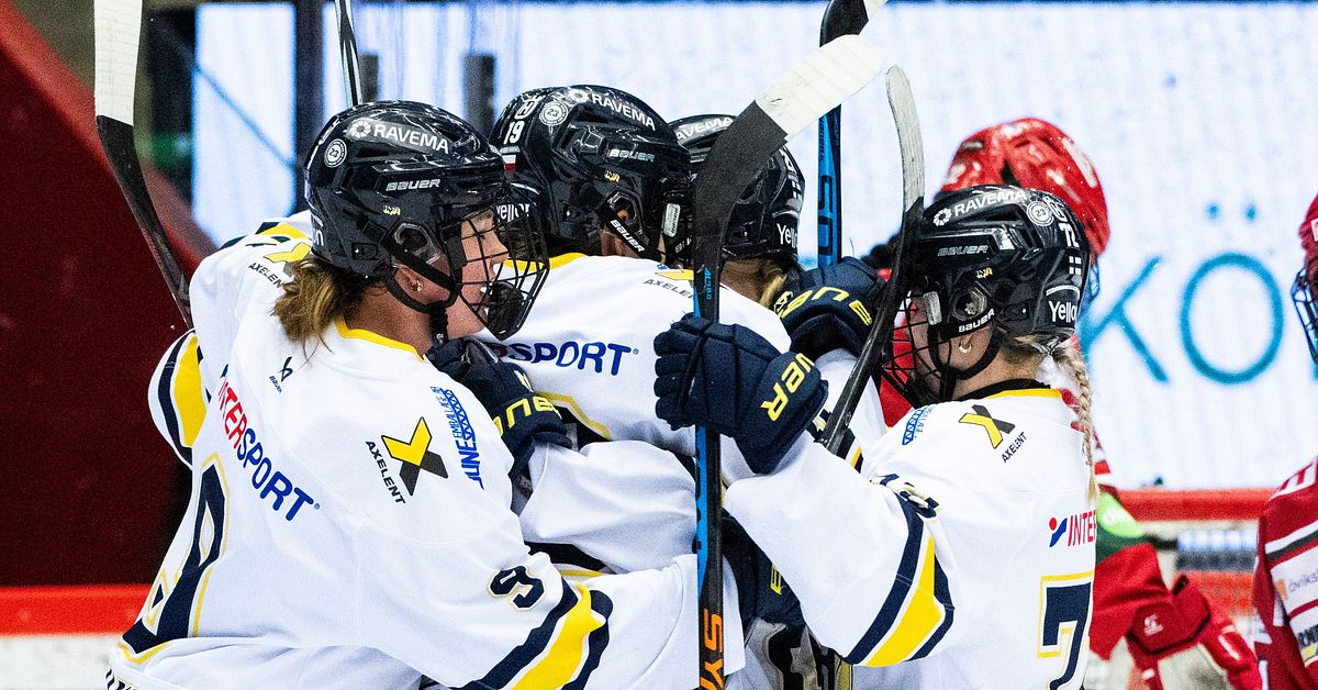 Kanadensiskor klara för HV71 | SVT Nyheter