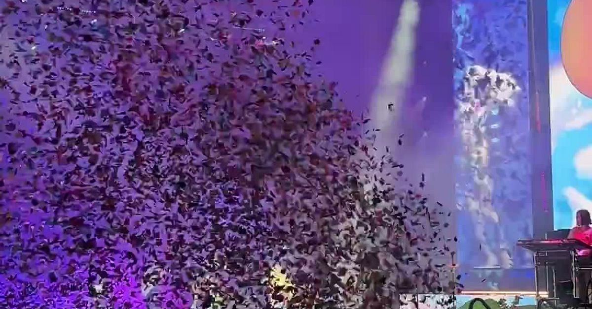 Så var Zara Larssons konsert i Stockholm: ”Värmen är det bästa” | SVT ...