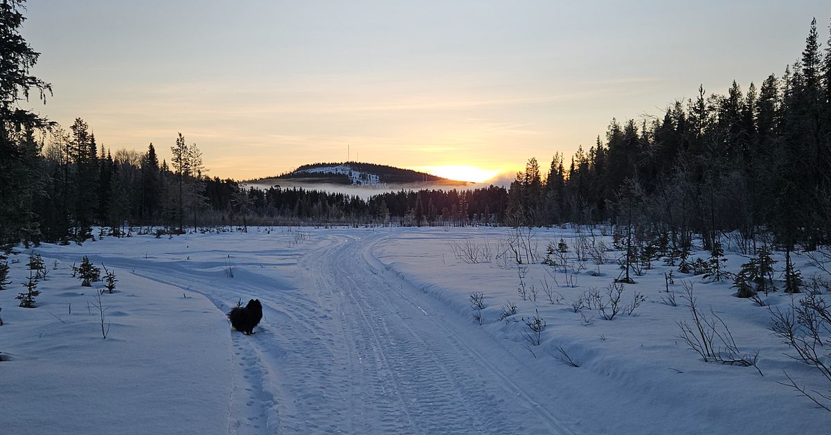 Tittarbilder januari 2025 – skicka din bild till SVT Väder | SVT Nyheter