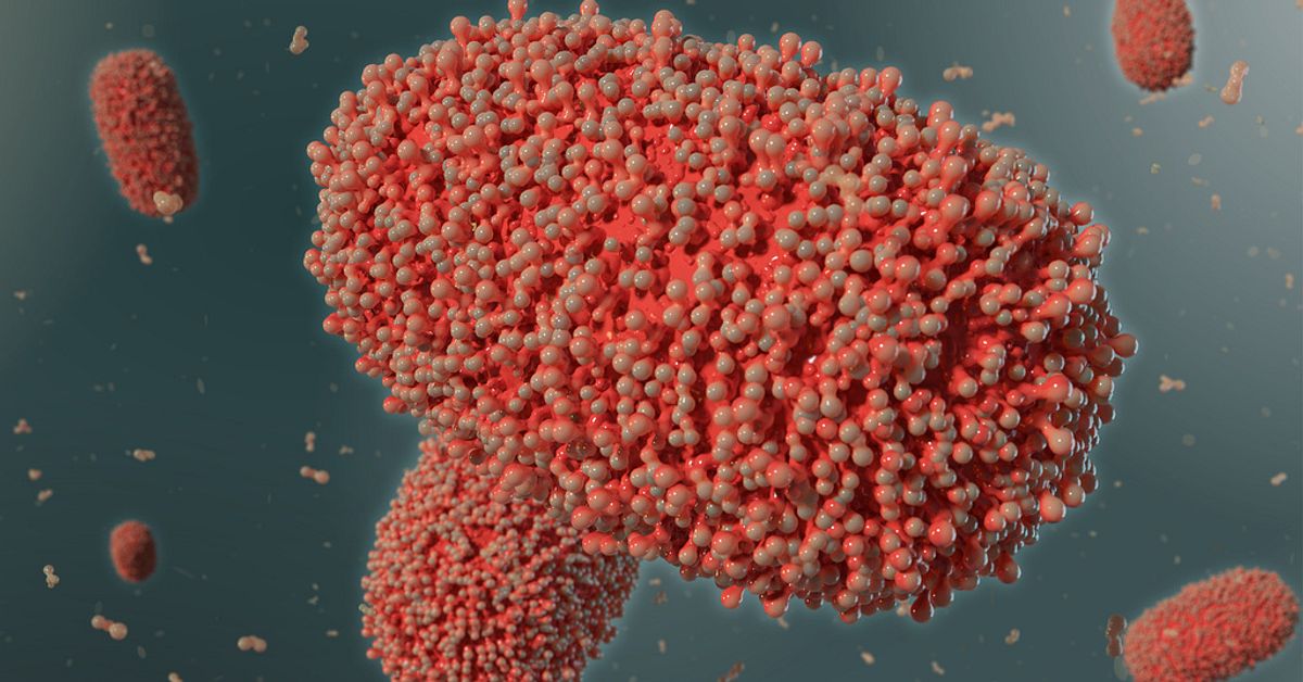 Utbrott av apkoppor i Stockholm utreds av Folkhälsomyndigheten | SVT ...