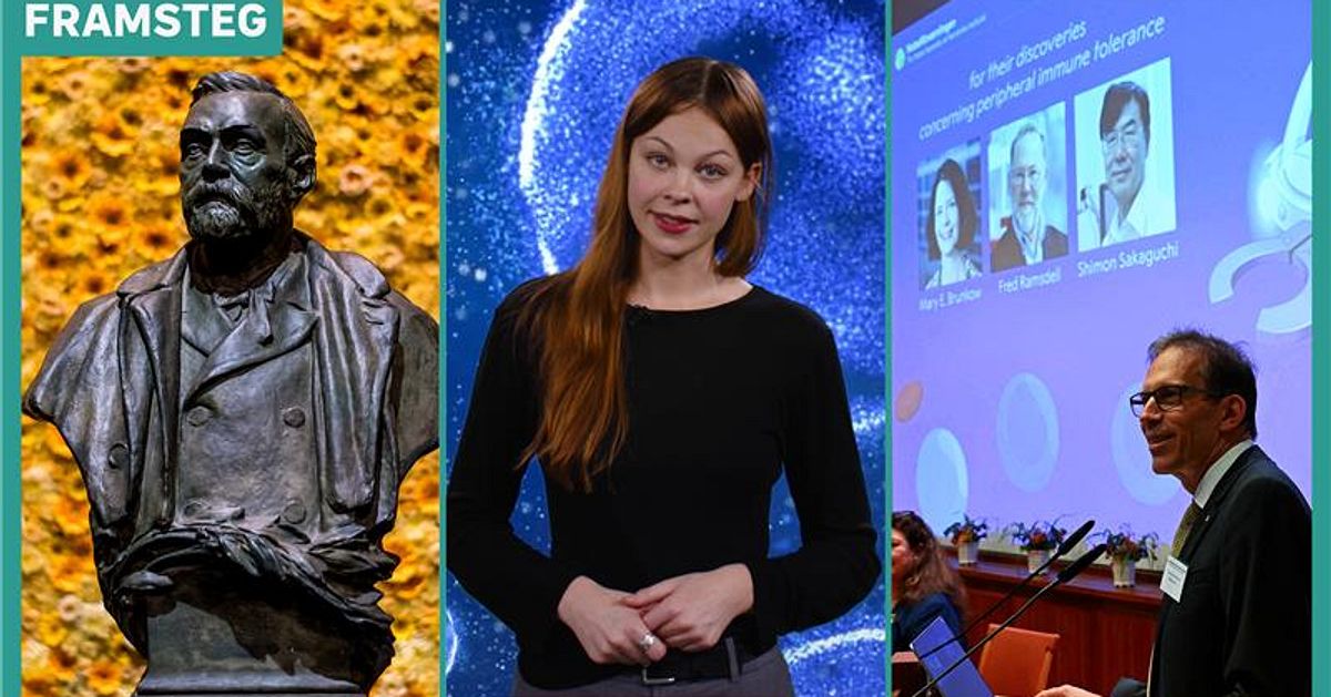 Trio får Nobelpriset i medicin 2025 för upptäckten av kroppens ...
